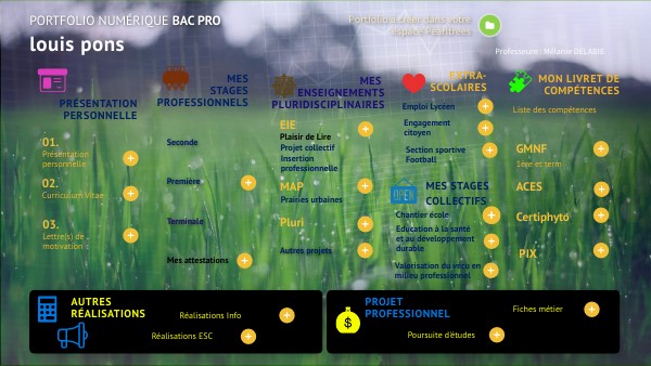 Louis - Portfolio Bac pro GMNF