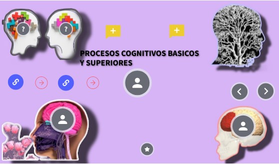 PROCESOS COGNITIVOS BASICOS Y SUPERIORES | Genially