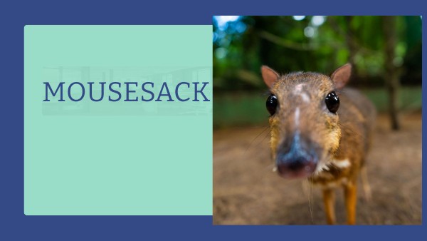 MOUSESACK | Genially