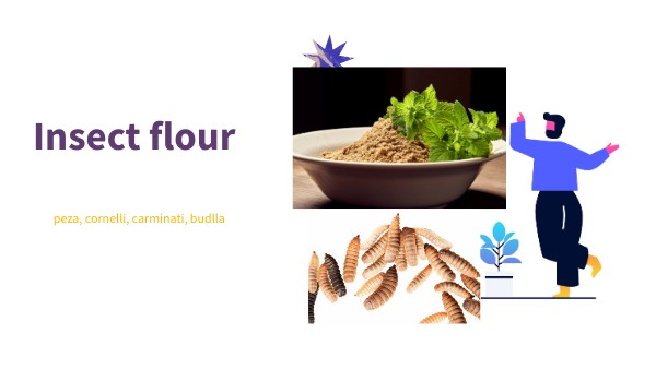 insects flour