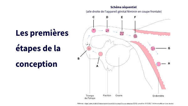 Les premières étapes de la conception