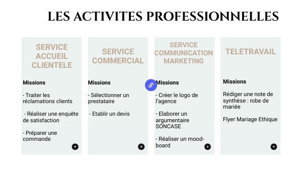 LES ACTIVITES PROFESSIONNELLES | Genially