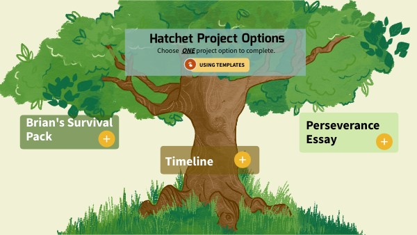 Hatchet Project Choice Board