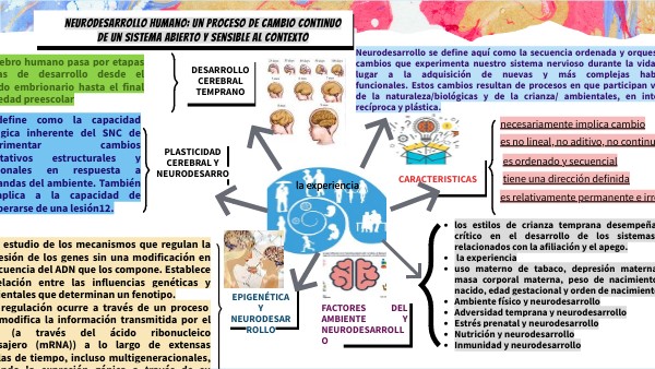 MAPA MENTAL de neurodesarrollo humano | Genially