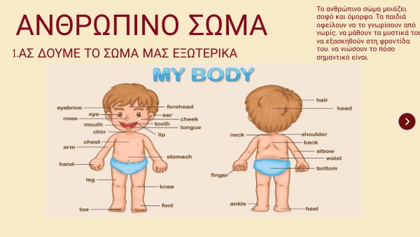 ΑΘΡΩΠΙΝΟ ΣΩΜΑ | Genially
