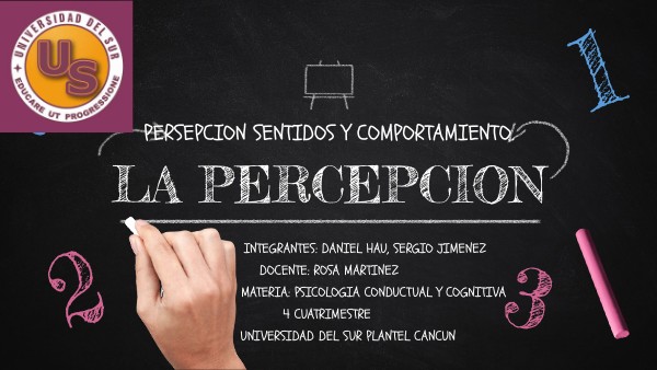 CEREBRO HUMANO Y PROCESO DE PERCEPCION | Genially