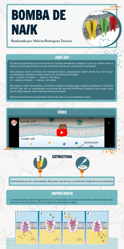 BOMBA NA/K: VALERIA RODRÍGUEZ TENORIO | Genially