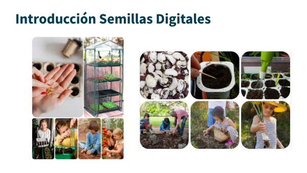 Semillas Digitales - Intro | Genially
