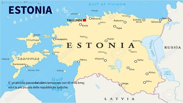 Copy - Estonia | Genially