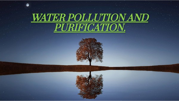 WATER PURIFICATION AND POLLUTION WORK.