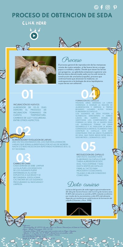 PROCESO DE OBTENCION DE SEDA | Genially