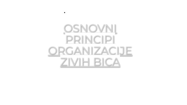 BASIC PRESENTATION