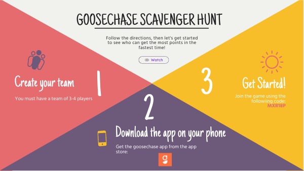One Voice Goosechase