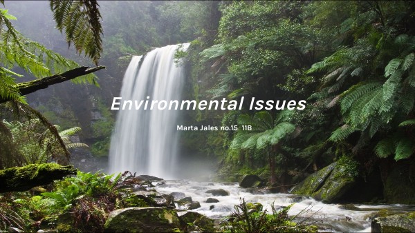 Environment issues
