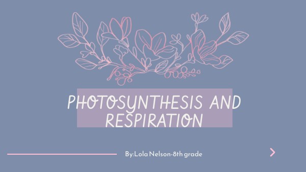 PHOTOSYNTHESIS AND RESPIRATION