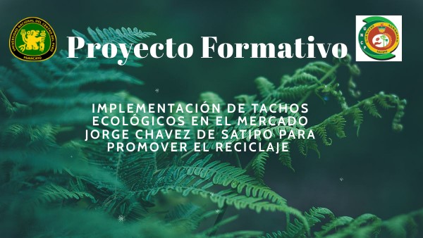 Proyecto Formativo