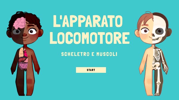 apparato locomotore | Genially