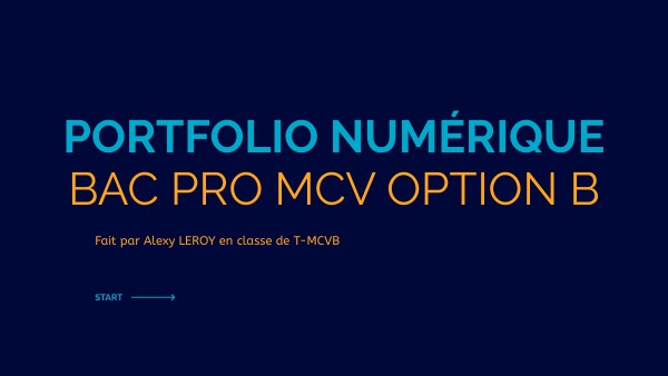 Portfolio Bac pro MCV-B Alexy Leroy | Genially