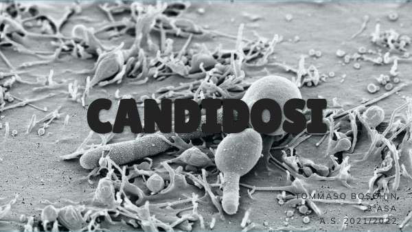 CANDIDOSI