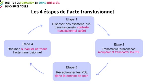 Etapes transfusion | Genially