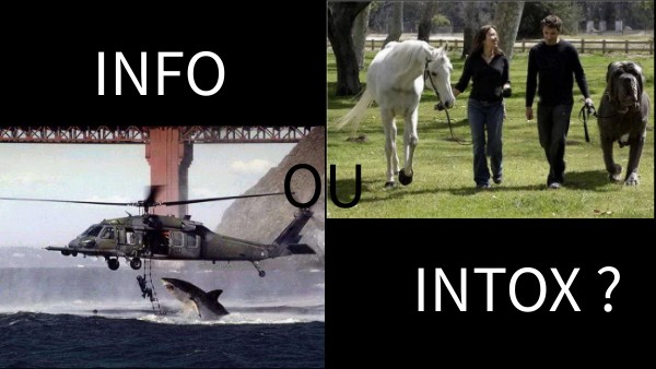 Info ou intox | Genially
