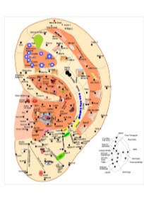 Puntos Interactivos Fosa Triangular