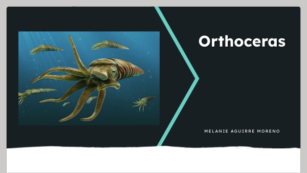 Orthoceras | Genially