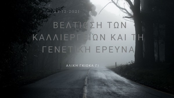 Copy - SHADOW PRESENTATION