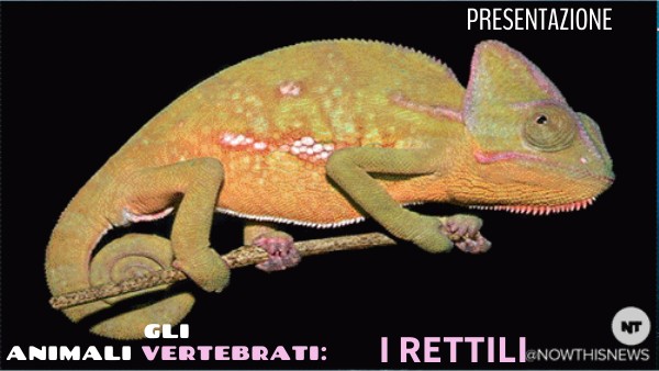 5-I RETTILI | Genially