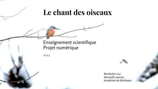 Le chant des oiseaux - Lycée Montaigne | Genially