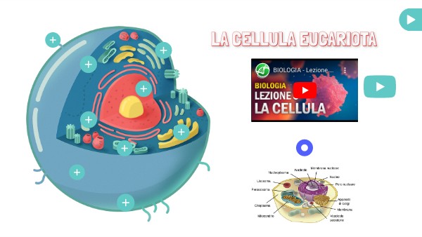 Poster interattivo cellula | Genially