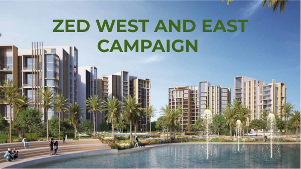 Zed Campaign | Genially