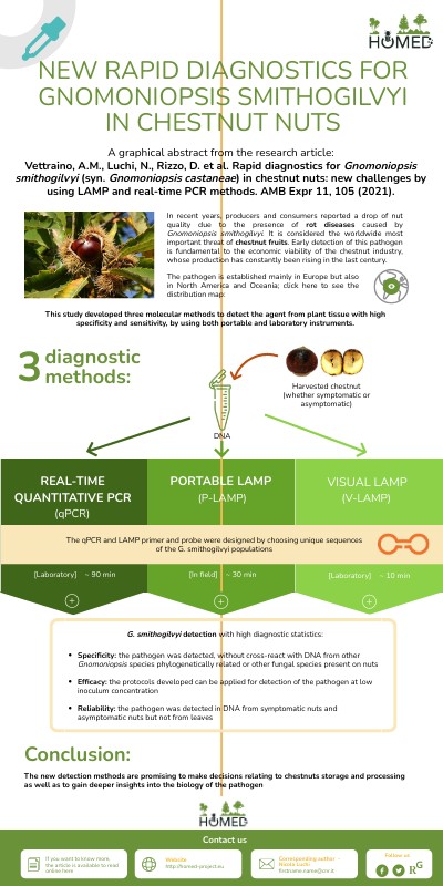 New rapid diagnostics for Gnomoniopsis smithogilvyi in chestnut nuts