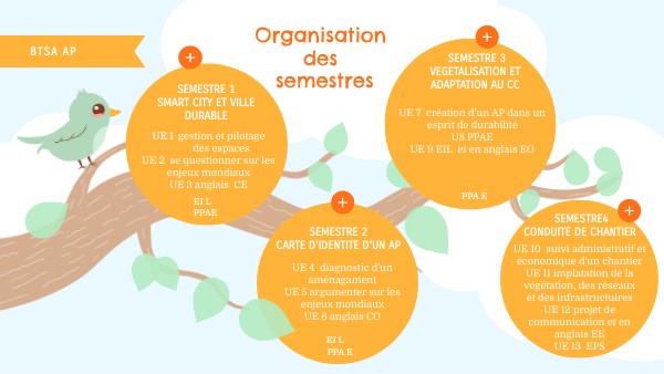 BRANCH LIST | Genially