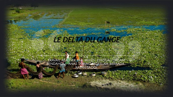 hgf (delta du gange)