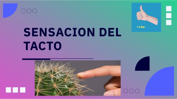 PERCEPCION DEL TACTO | Genially