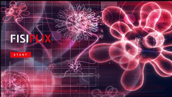 FISIFLIX PRESENTATION: MAXWELL | Genially