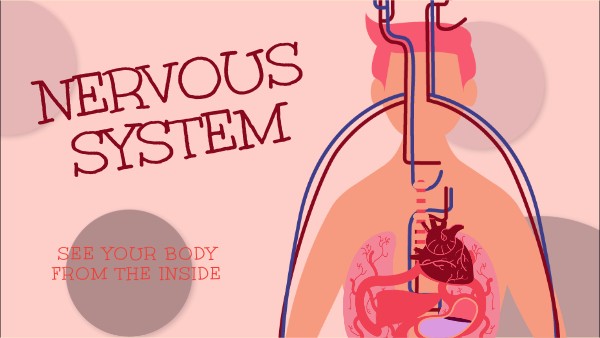 HUMAN BODY PRESENTATION