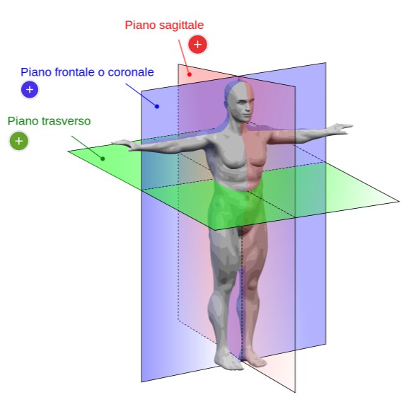 PIANI E POSIZIONI | Genially