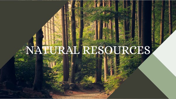 NATURAL RESOURCES PROJECT PPT
