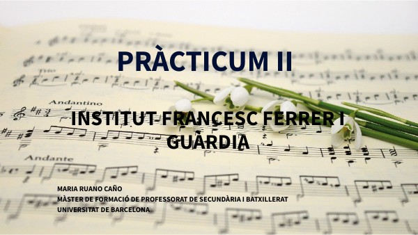PRACTICUM II