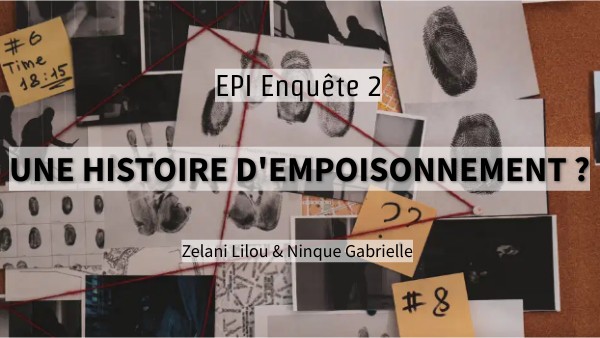 EPI Enquête 2 | Genially