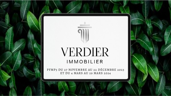 Verdier Immobilier (grand oral)