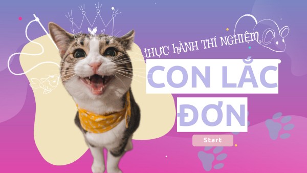 PHYSICAL VIBRANT TIMELINE | Genially