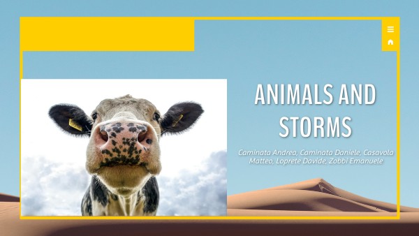 Animals and storm