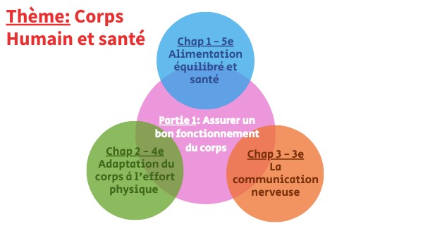 séance 1 - 3ème - système nerveux | Genially