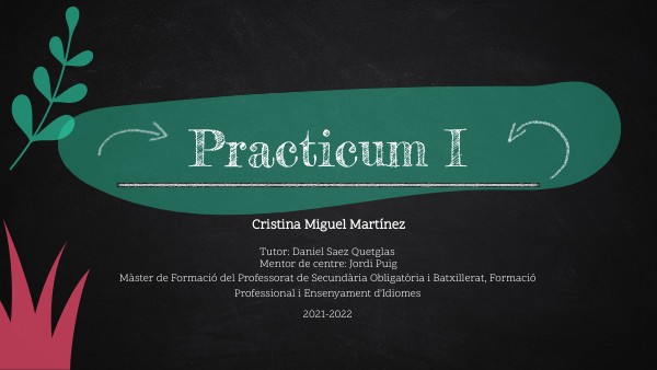 Practicum I - Cristina Miguel Martínez