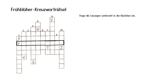 Frühblüher-Rätsel