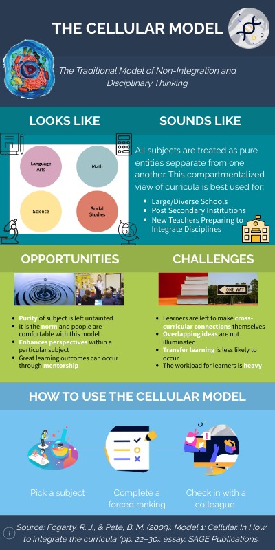 The Cellular Model