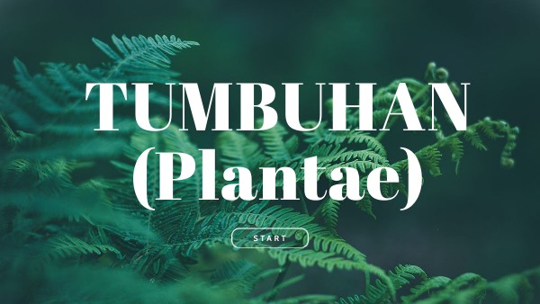 PPT Plantae